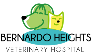 Veterinarian and Animal Hospital in Rancho Bernardo, CA